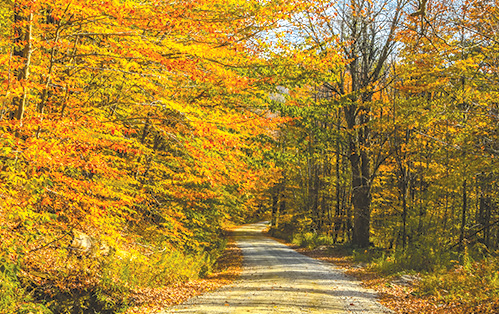 The Autumn Colors of Suffield - The Suffield Observer