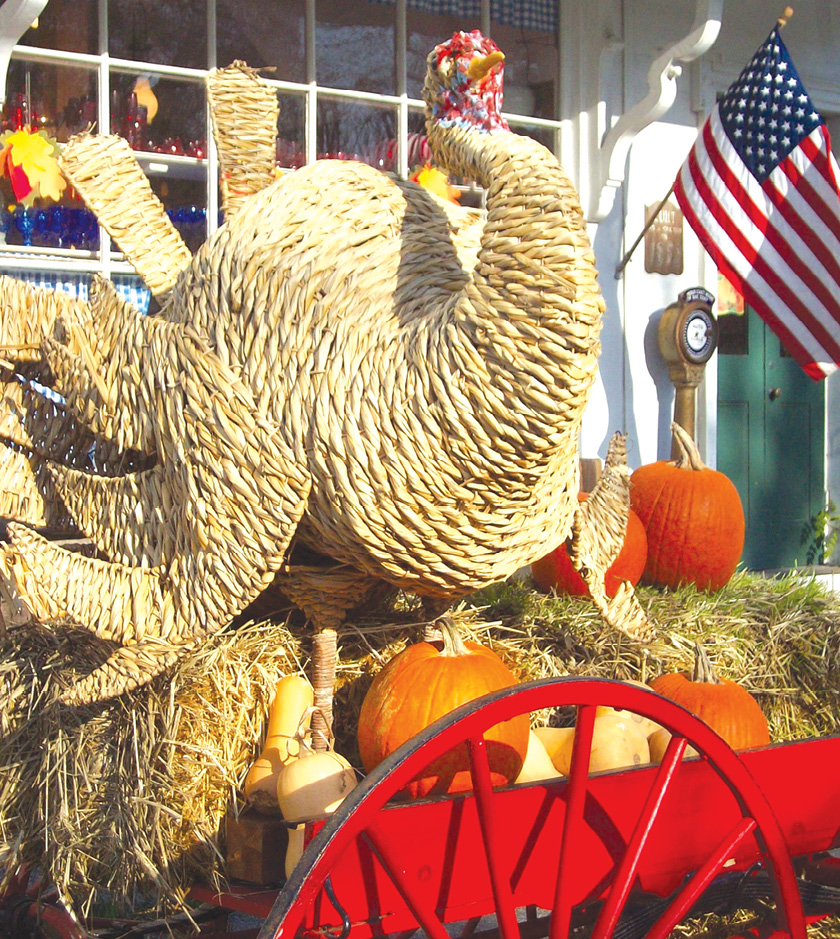 Horticulture Highlights from the Suffield Garden Club - The Suffield ...