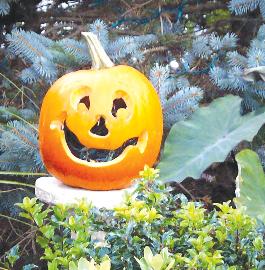 Horticulture Highlights from the Suffield Garden Club - The Suffield ...