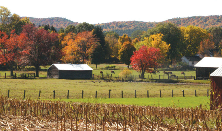 Good Weather Brought Successful Farming Season - The Suffield Observer