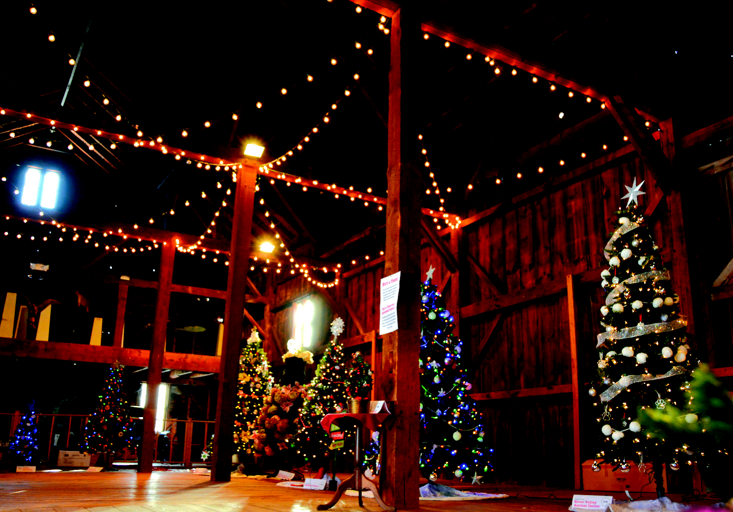 Chilly Tree Gala - The Suffield Observer