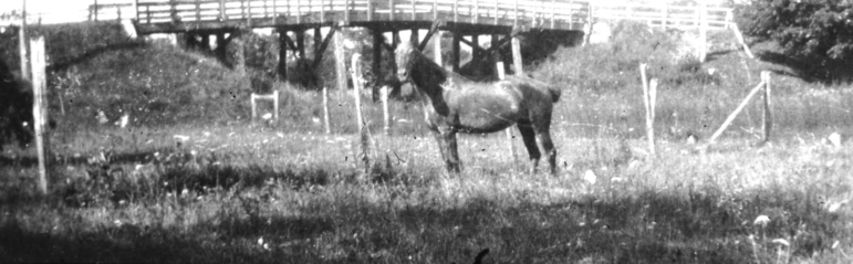 A Moment in Time: Old Photos Invited from Our Readers - The Suffield ...