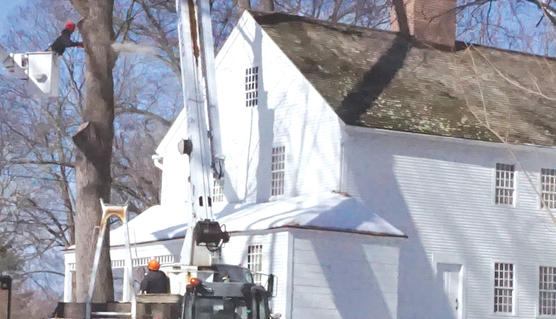 Timberrrr! - The Suffield Observer