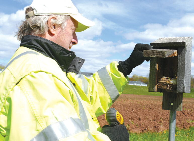 Winged Treasures at Windsor Locks Canal - The Suffield Observer
