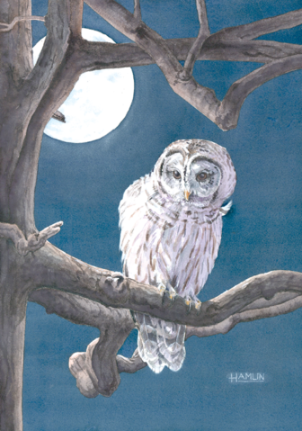 KML Gallery Features Wildlife Artist | The Suffield Observer