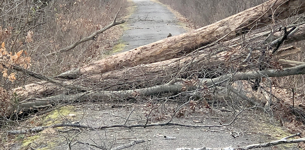 Windsor Locks /Suffield Towpath Opens April 1 - The Suffield Observer