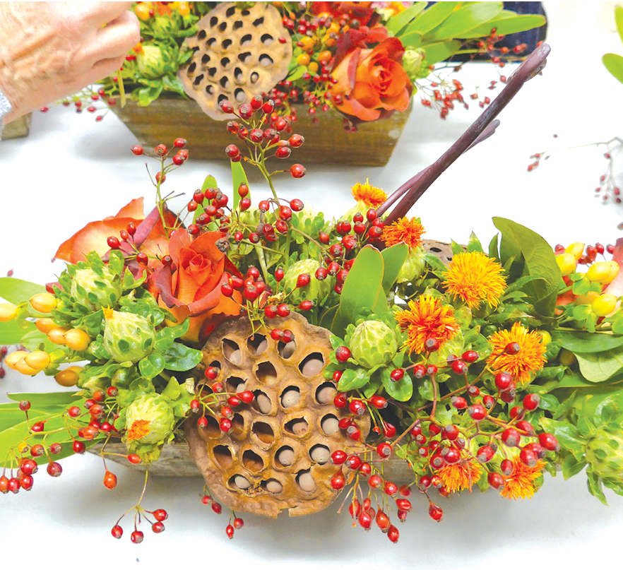 Suffield Garden Club Announces Educational Programs - The Suffield Observer