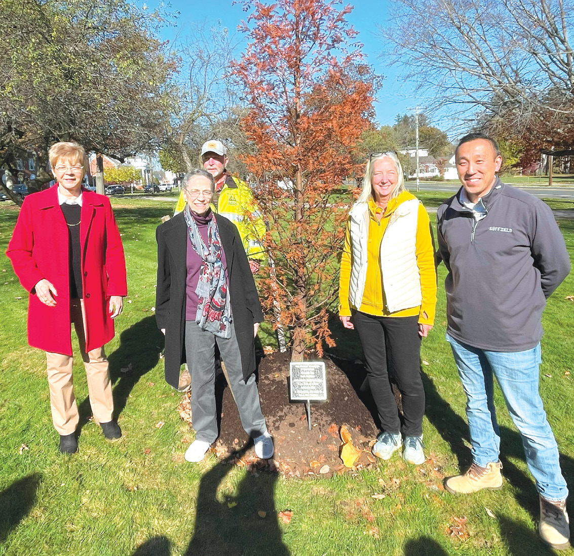 Thanksgiving Tree Dedicated - The Suffield Observer